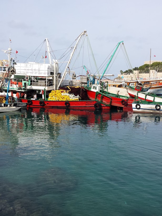 Efesos | Vår vidunderlige verden